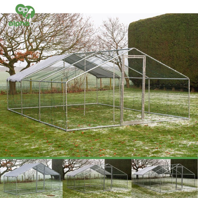 Alphapet® | Home of the Walk-in Chicken Run Coop 🐔🦆