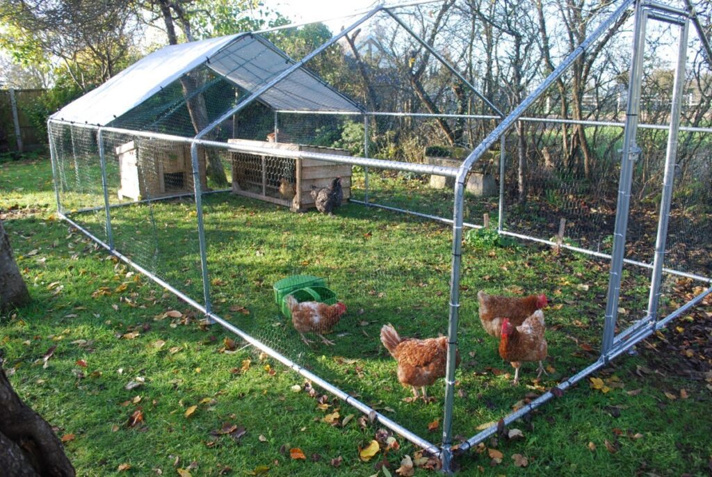Why use a chicken run? - Alphapet®